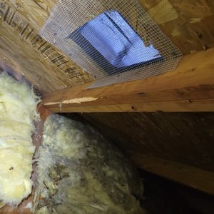 TRIGUARD PEST CONTROL - Updated April 2025 - 55 Photos & 329 Reviews ...