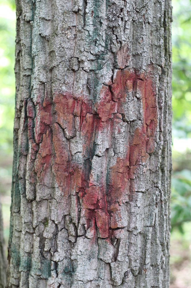 MONEY ROCKS COUNTY PARK - Updated July 2025 - 936 Narvon Rd, Narvon ...