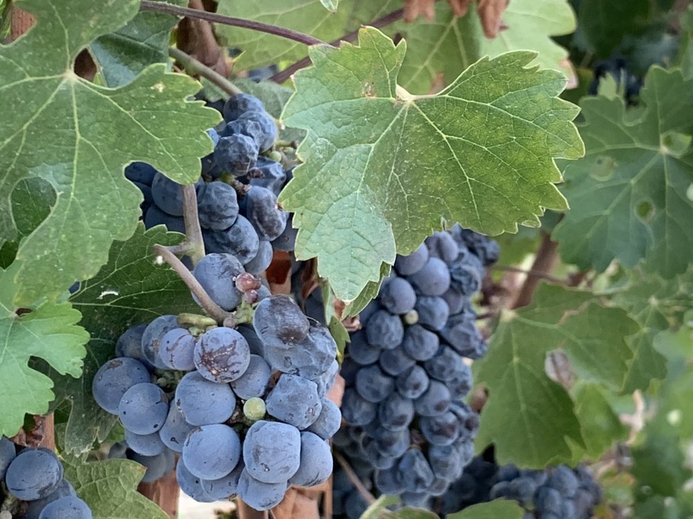 MIKE METTER - RE/MAX ALL PRO - Updated September 2024 - Contact Agent ...