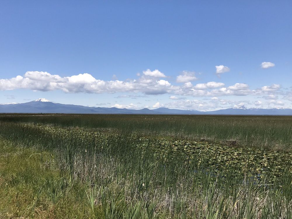 KLAMATH MARSH NATIONAL WILDLIFE REFUGE - Updated June 2024 - Chiloquin ...