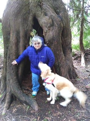 WONDERWOOD PARK - 23 Photos - 5304 32nd Ave, Lacey, WA - Yelp