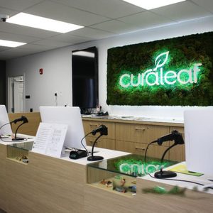 THE BOTANIST WORCESTER - Updated June 2025 - 14 Photos - 65 Pullman St ...