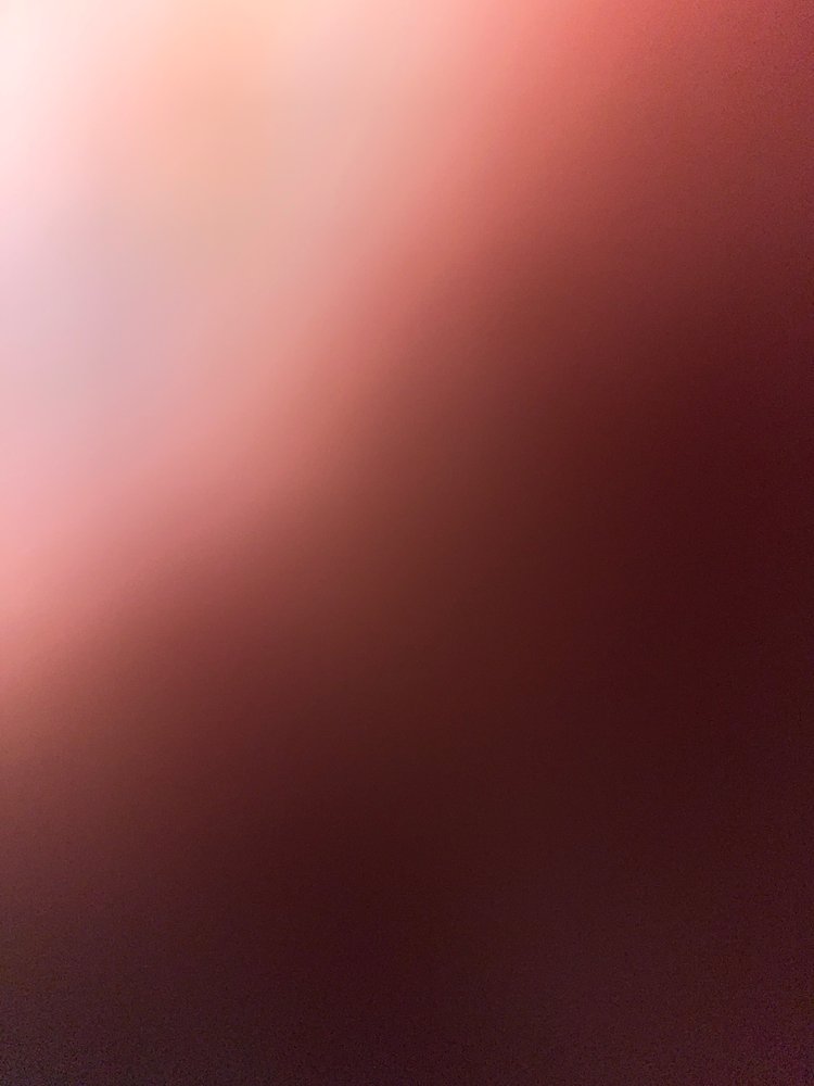 CLEME MANOR - Updated October 2025 - 16 Photos - 5300 Coke St, Houston ...