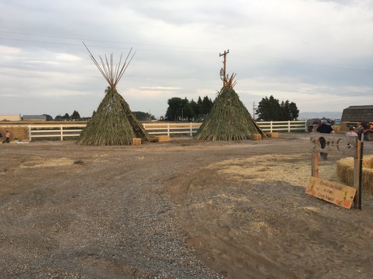 NEW SWEDEN FARMS CORN MAZE & PUMPKIN PATCH - Updated November 2025 - 33 ...