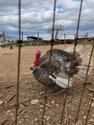 TEMPLE HALL FARM PARK - Updated October 2025 - 57 Photos & 25 Reviews ...