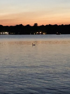 ISLAND POINTE RESORT - Updated December 2025 - 16 Photos - 1251 Canyon ...