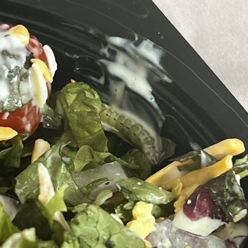 TENDERCROP FARM - Updated August 2024 - 33 Photos & 52 Reviews - 123 ...