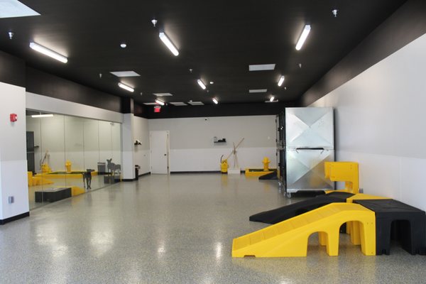 PLAYFUL PACK - Updated December 2025 - 15 Photos - 1608 Village Market ...