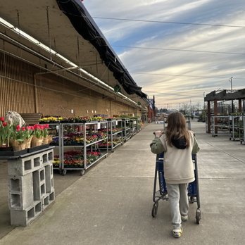 MCLENDON HARDWARE - Updated November 2025 - 80 Photos & 188 Reviews ...