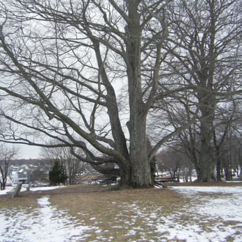 MCCOOK POINT BEACH AND PARK - Updated October 2025 - 55 Photos & 11 ...