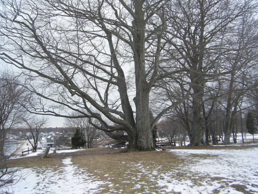 MCCOOK POINT BEACH AND PARK - Updated October 2025 - 55 Photos & 11 ...