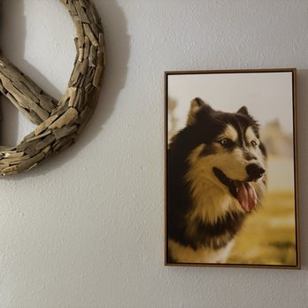 APOLLO PRINTING & GRAPHICS - Updated December 2025 - 127 Photos & 150 ...