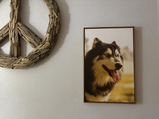 APOLLO PRINTING & GRAPHICS - Updated December 2025 - 127 Photos & 150 ...