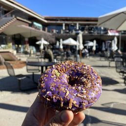 COHO CAFE - Updated July 2025 - 199 Photos & 210 Reviews - 459 Lagunita ...