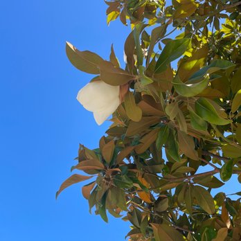 VAIL RANCH PARK - Updated April 2025 - 34 Photos & 28 Reviews - 32965 ...