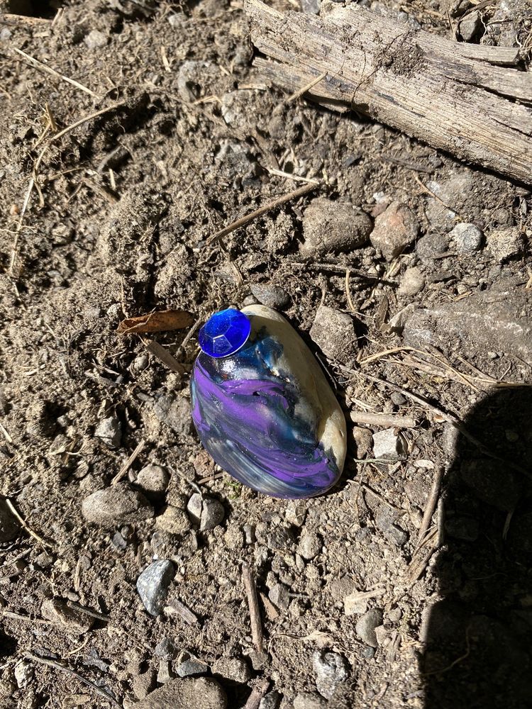 26 MILE NATURE PRESERVE - Updated August 2024 - 33 Photos - 22200 26 ...