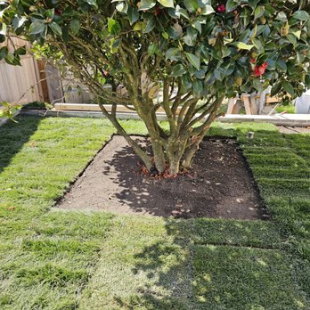 RESTORING EDEN - Updated December 2025 - 42 Photos & 36 Reviews - 3503 ...