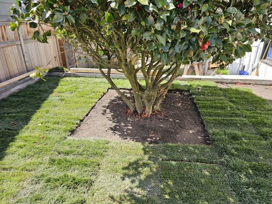 RESTORING EDEN - Updated January 2026 - 42 Photos & 36 Real Reviews ...