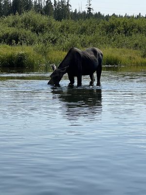 MACKS INN RIVER ADVENTURES - Updated October 2025 - 30 Photos & 24 ...