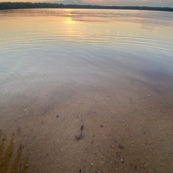 JONES LAKE STATE PARK - Updated January 2026 - 67 Photos & 15 Reviews ...