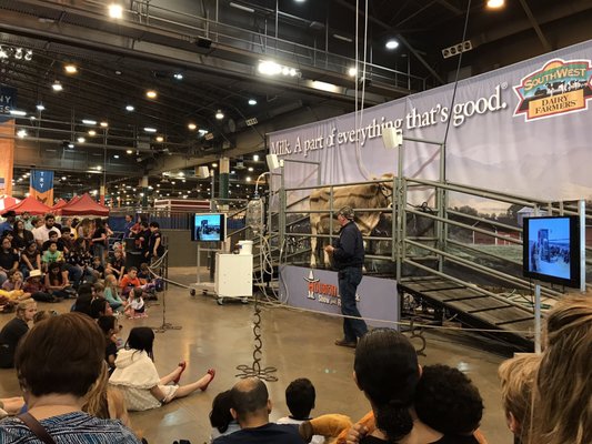 HOUSTON LIVESTOCK SHOW AND RODEO - 1407 Photos & 273 Reviews - Rodeo ...