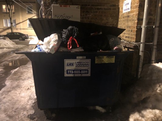 LAKESHORE RECYCLING SYSTEMS - Updated August 2024 - 38 Photos & 88 ...