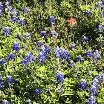 LONGVIEW GREENS MINIATURE GOLFING - Updated December 2025 - 74 Photos ...