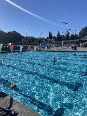 WALTER GRAHAM AQUATIC CENTER - 70 Photos & 35 Reviews - 1100 Alamo Dr ...