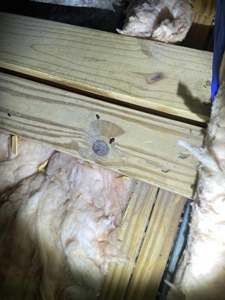 TERMINIX - Updated May 2024 - 1817 Us 19 Highway, Boca Raton, Florida ...