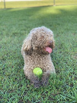 MAYOR ROSCOE WARREN MUNICIPAL PARK with 12 Reviews & 71 Photos - 1400 E ...