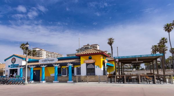 CABO WABO SAND BAR - Updated September 2025 - 92 Photos & 39 Reviews ...