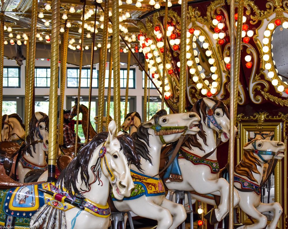 Carousel Village, Providence | Roadtrippers
