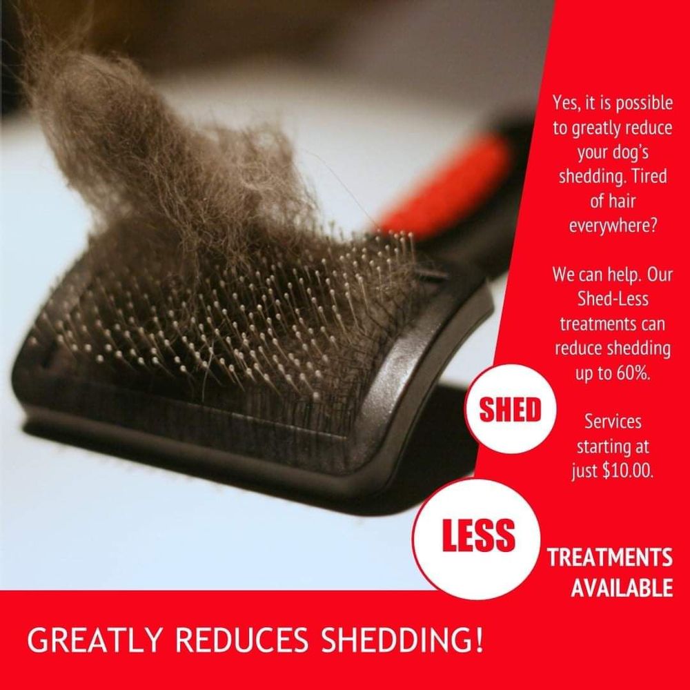 PAWSITIVELY PURRFECT GROOMING SALON & PET SPA - Updated July 2025 - 62 ...