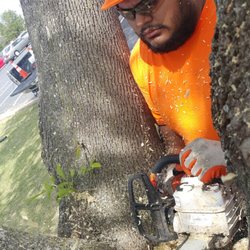 AFFORDABLE TREE CARE - 36 Photos & 19 Reviews - 13904 Josey Ln, Dallas ...