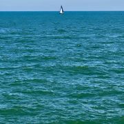 CLEVELAND LAKEFRONT NATURE PRESERVE - 89 Photos & 18 Reviews - 8701 ...