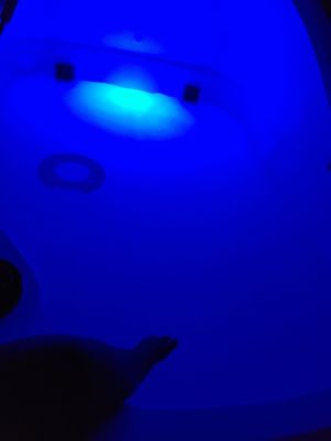 FLOAT ROBINS - Updated December 2025 - 14 Photos & 13 Reviews - 225 ...