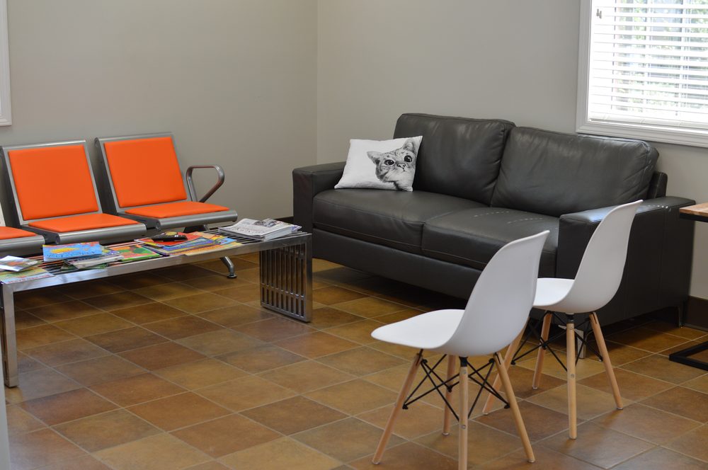 CORNERSTONE ANIMAL HOSPITAL - 13 Photos - 7936 Broad River Rd, Irmo ...