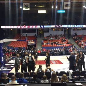 CREDIT UNION 1 ARENA - 109 Photos & 106 Reviews - 525 S Racine Ave ...