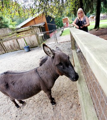 MAPLEWOOD FARM - 244 Photos & 43 Reviews - 405 Seymour River Place ...