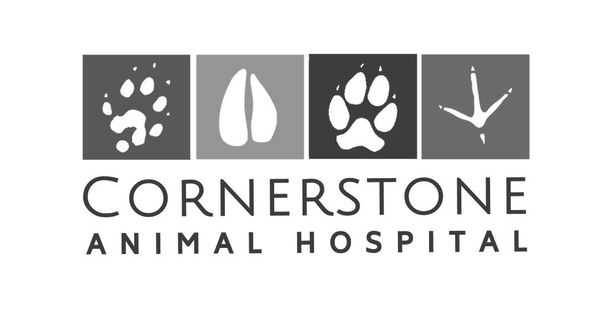 CORNERSTONE ANIMAL HOSPITAL - Updated October 2025 - 17 Photos & 17 ...
