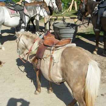 RUSTIC RIDES FARMS - Updated July 2025 - 33 Photos & 51 Reviews - 1173 ...