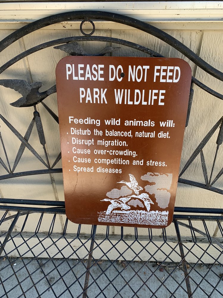 NATURE LEARNING CENTER - Updated December 2025 - 16 Photos - 40000 ...