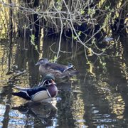 LAKE FENWICK PARK - 108 Photos & 27 Reviews - 25828 Lake Fenwick Rd ...