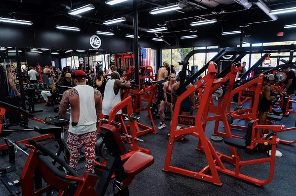 THE HUMAN ELITE - Updated January 2026 - 10 Photos - 13687 Camino ...