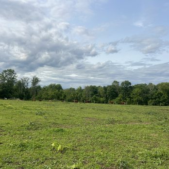 NEEDLE CREEK FARM BREWERY - Updated December 2025 - 47 Photos & 13 ...