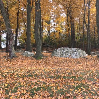 Are Dogs Allowed At Sam Lewis State Park