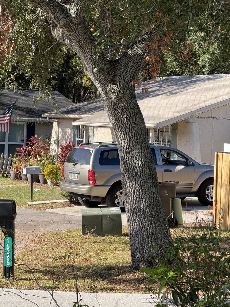 PORTREE - Updated March 2025 - Tampa, Florida - Tree Services - Phone ...