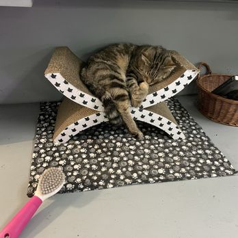 SCRUFFY’S CAFE - Updated November 2025 - 33 Photos & 12 Reviews - 1015 N Broadway, Knoxville ...