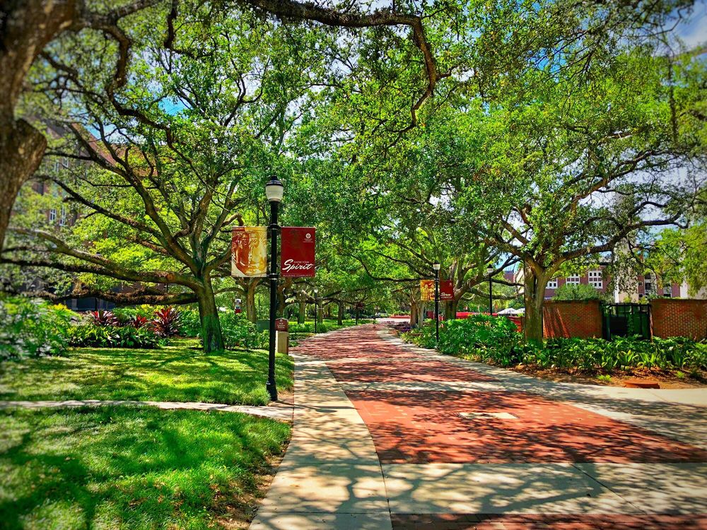 FLORIDA STATE UNIVERSITY - 160 Photos & 31 Reviews - 600 W College Ave ...