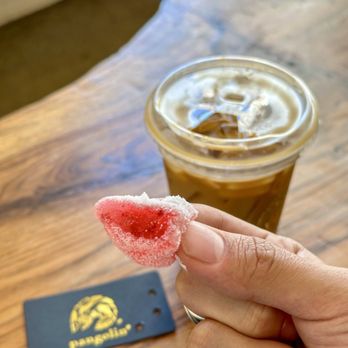PANGOLIN CAFÉ - Updated July 2024 - 598 Photos & 276 Reviews - 955 S ...